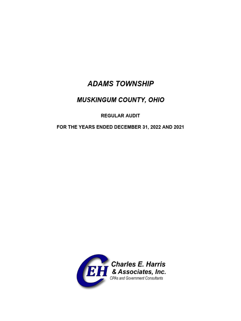 Adams Township Audit Report | PDF | Financial Audit | Fund Accounting
