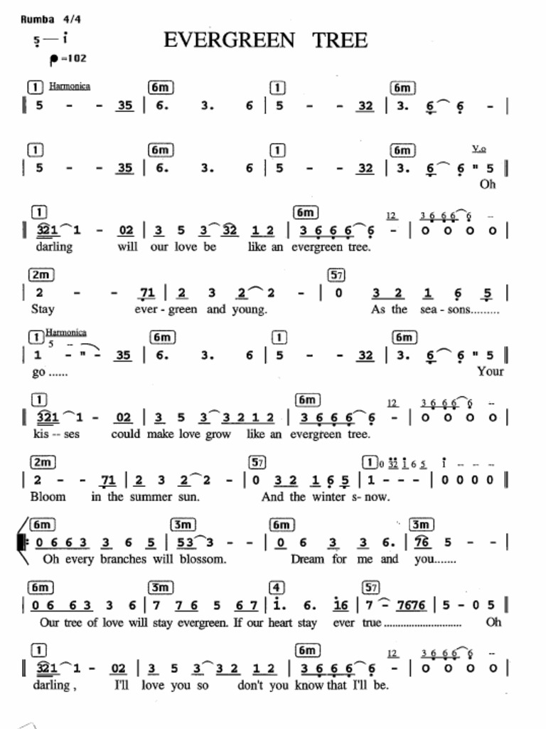 Evergreen Tree | PDF