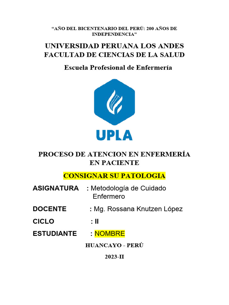Pae Modelo de Estructur A23-Ii | PDF