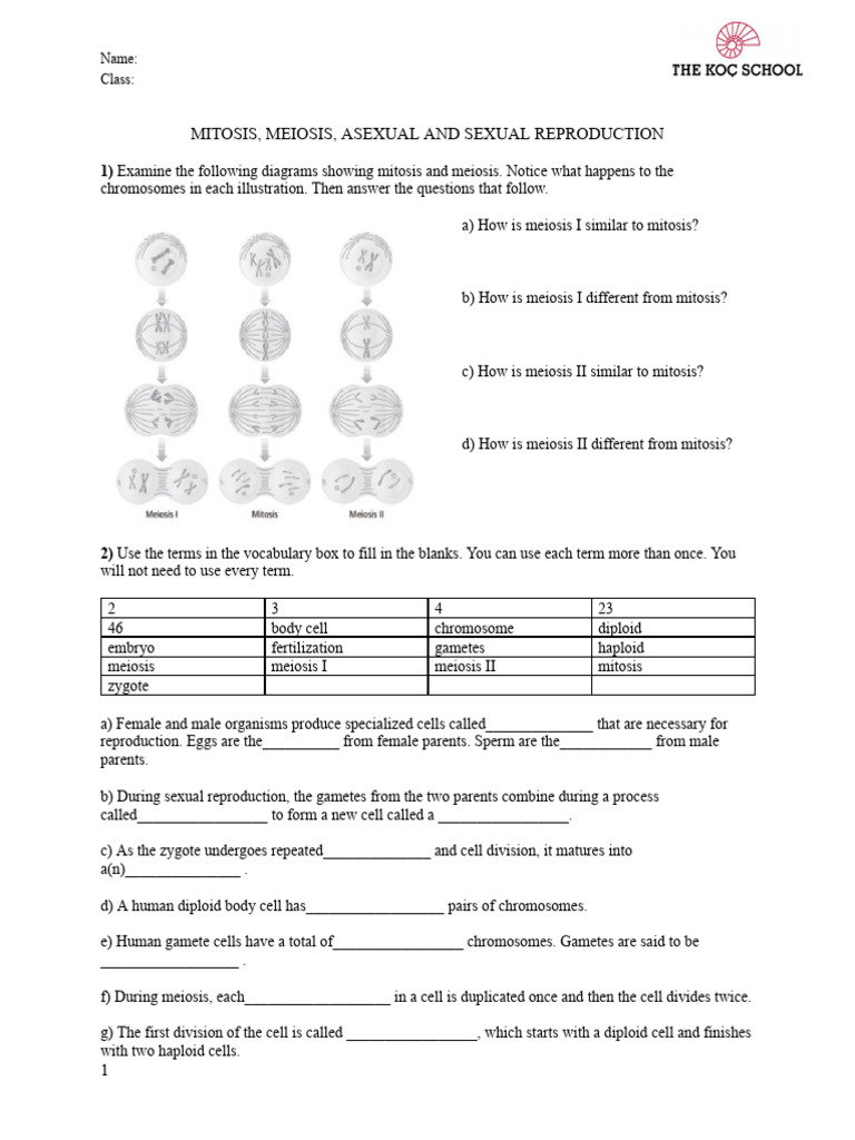 Mitosis-Meiosis-Asexual-Sexual Reproduction | PDF | Meiosis | Sexual ...