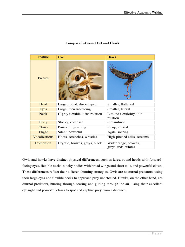 Different Between Owls and Hawks | PDF