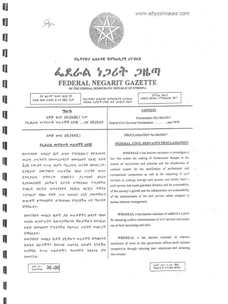 Federal Civil Servants Proclamation 1064 2017 | PDF