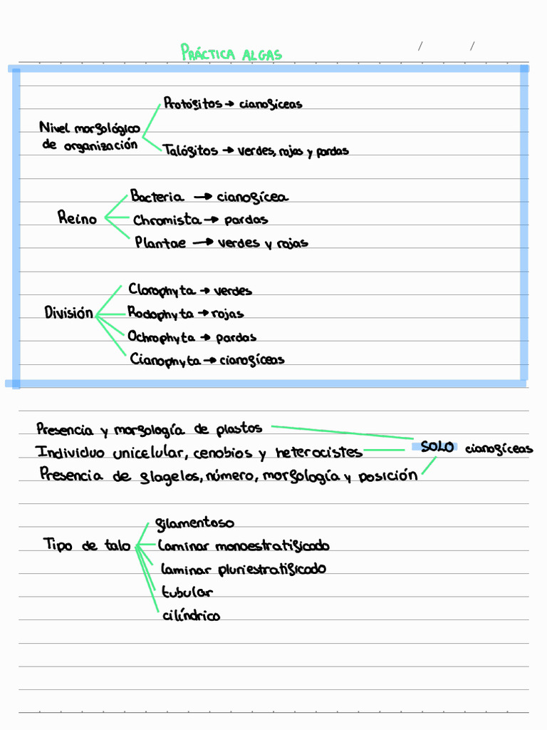 Práctica Algas | PDF
