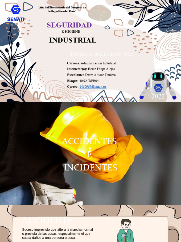 TR2 - Seguridad e Higiene Industrial | PDF