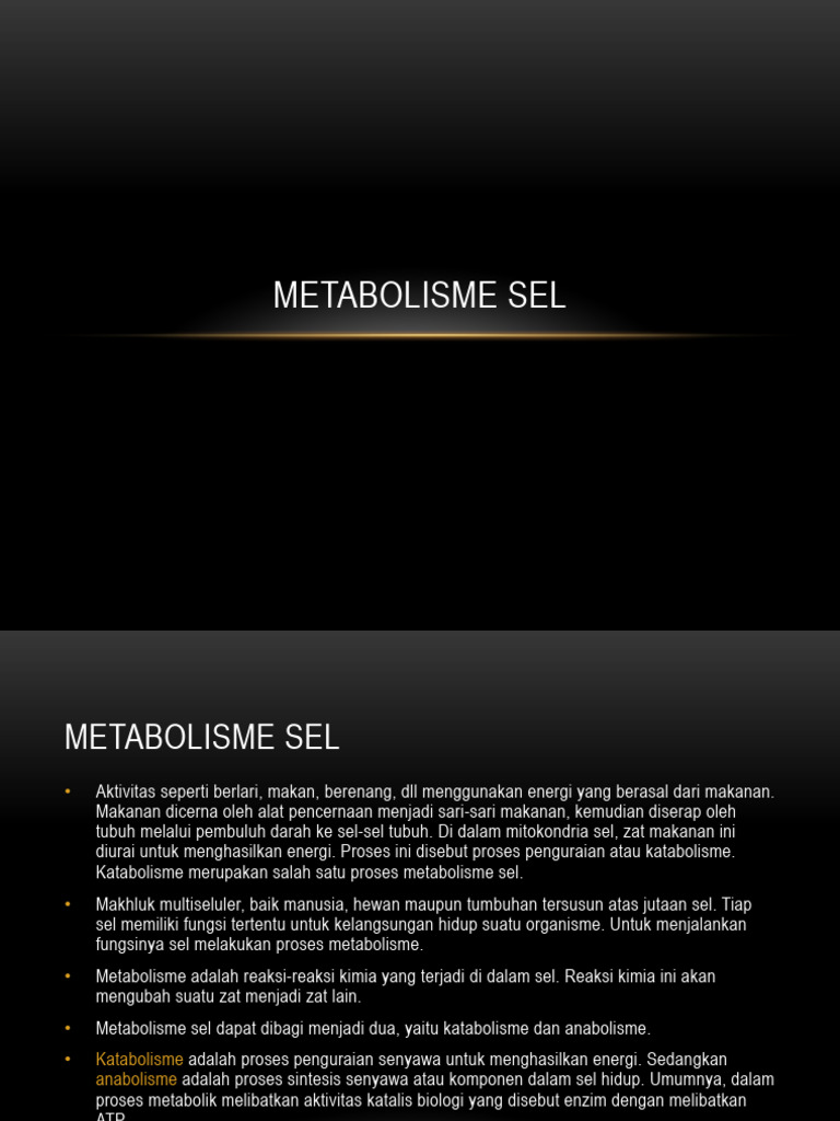 Metabolisme Sel | PDF