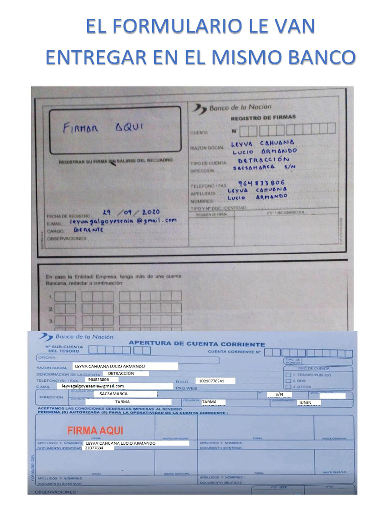 Modelo Llenado - Registro de Firma | PDF