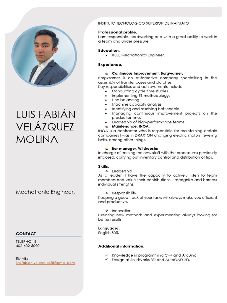 Luis Fabian Velazquez Molina CV Mechatronic Engineer | PDF | Business