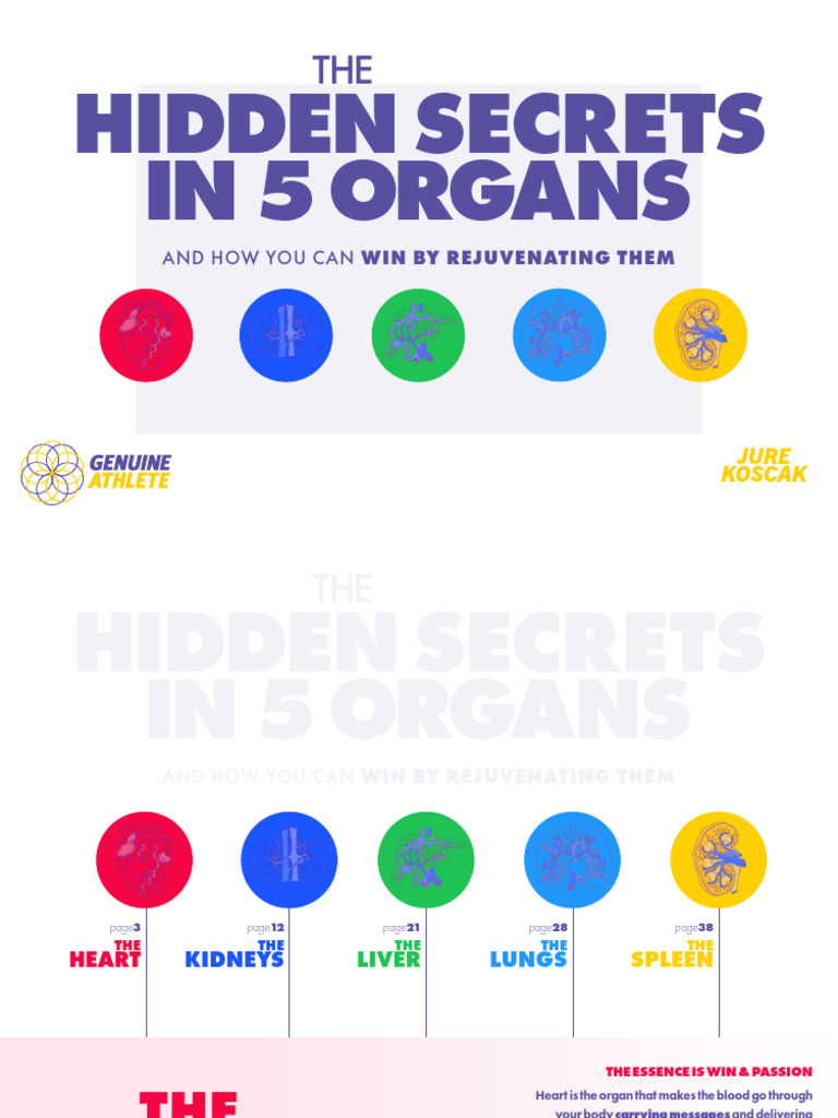 Hidden Secrets in Organs # | PDF | Anger | Heart