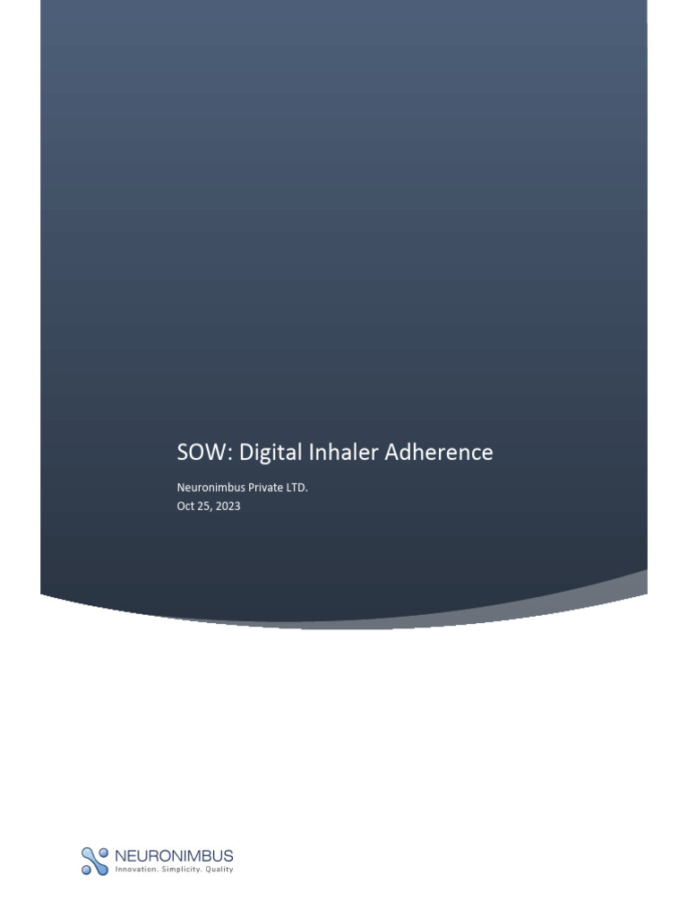 SOW - v1 1 | PDF | Business