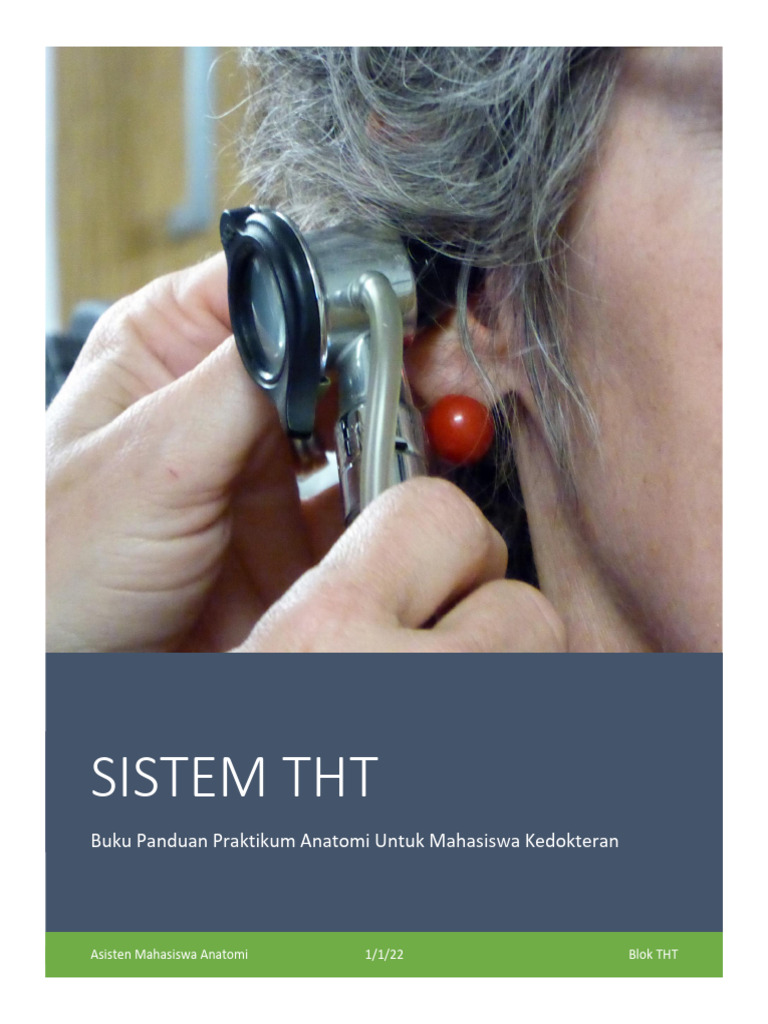 Modul Anatomi Sistem THT 2023 | PDF
