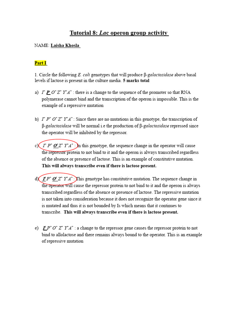 Individual Lac Operon Assignment | PDF