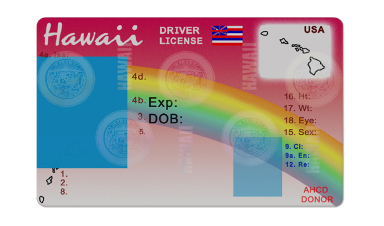 Hawaii DL Front Back 1 Copy 1 | PDF