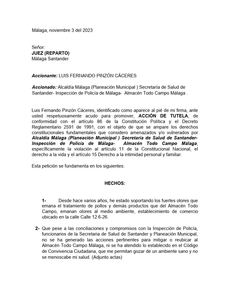 Tutela Luis Pinzon | PDF | Derecho Constitucional | Diabetes