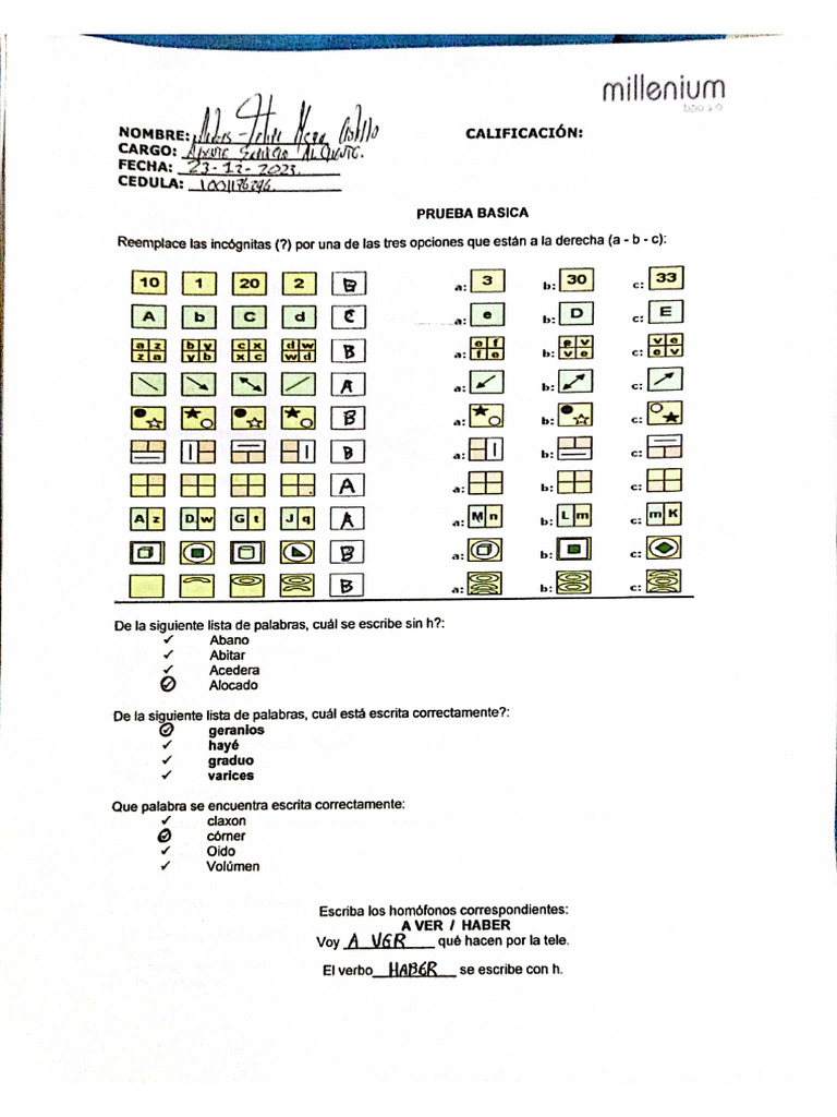 Prueba Básica Andres | PDF
