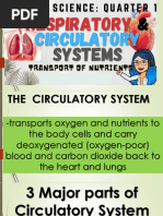 The 3 Types of Circulation | PDF