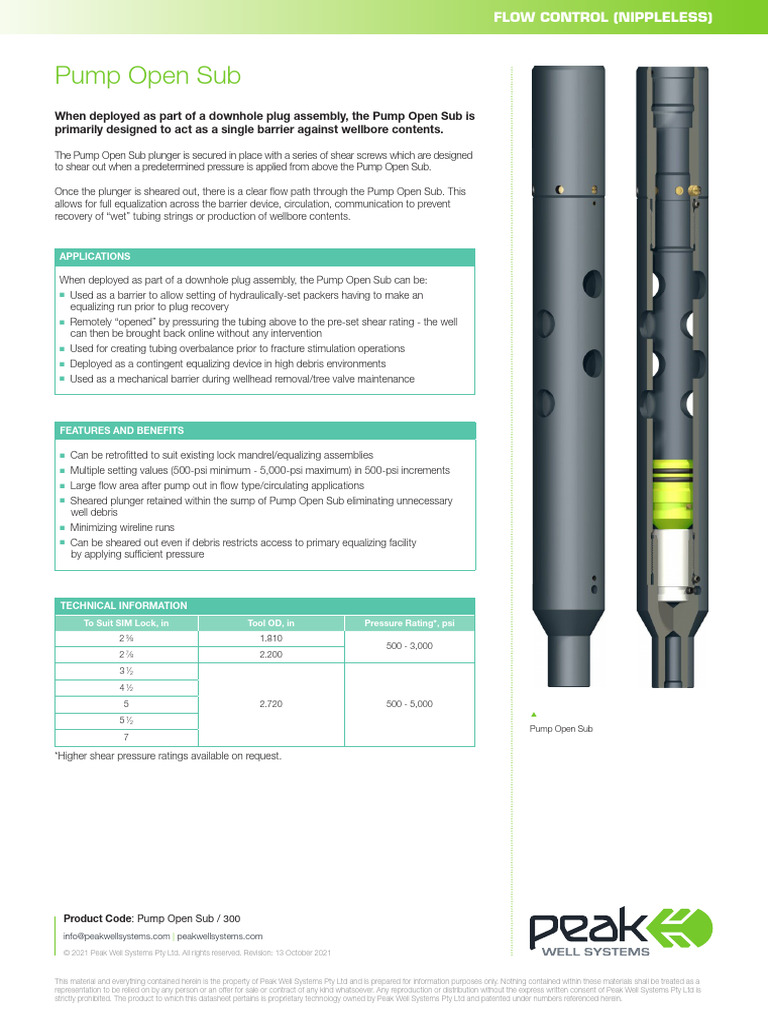 300 Pump Open Sub Pws Dsheet | Download Free PDF | Pump | Mechanical ...