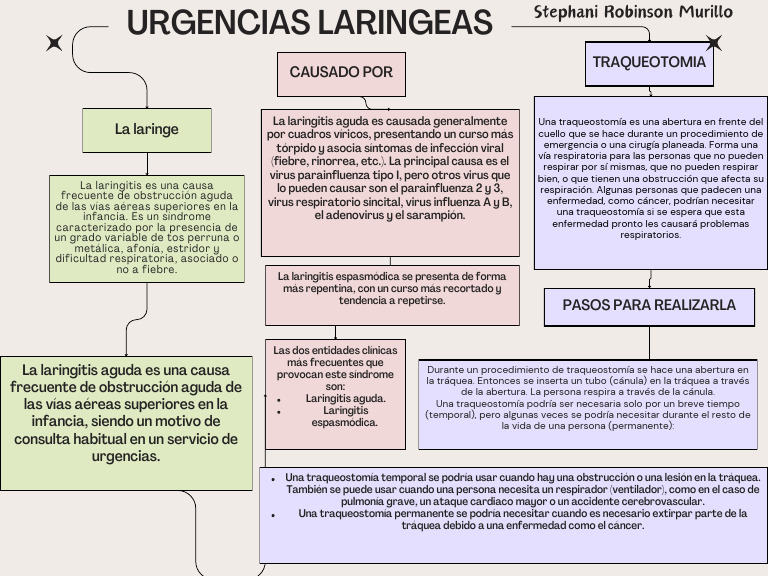 Pastel Minimalist Concept Map Flowchart | PDF | Tos | Enfermedades y ...