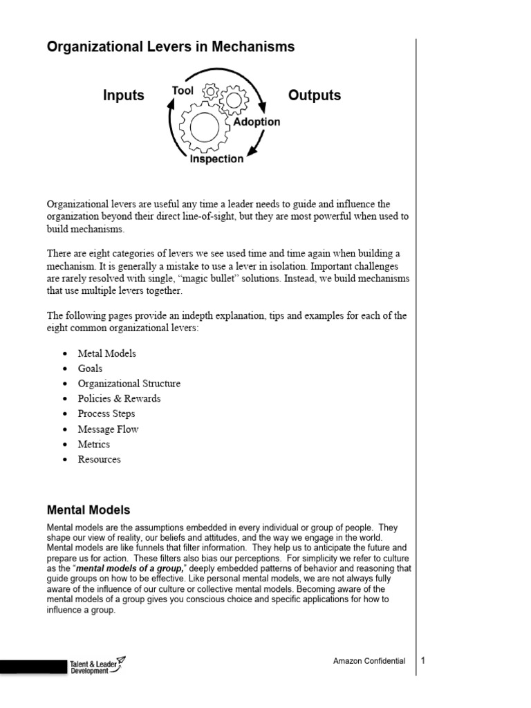 Organizational Levers in Detail | PDF