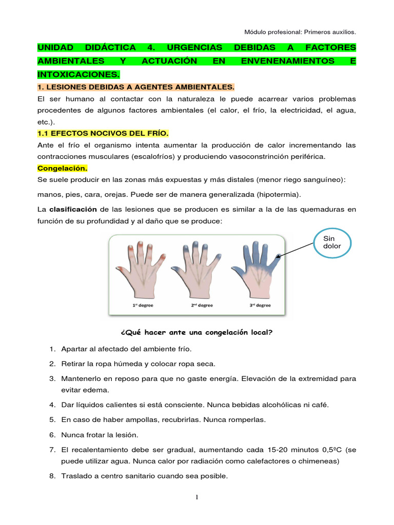 TEMA4 | PDF