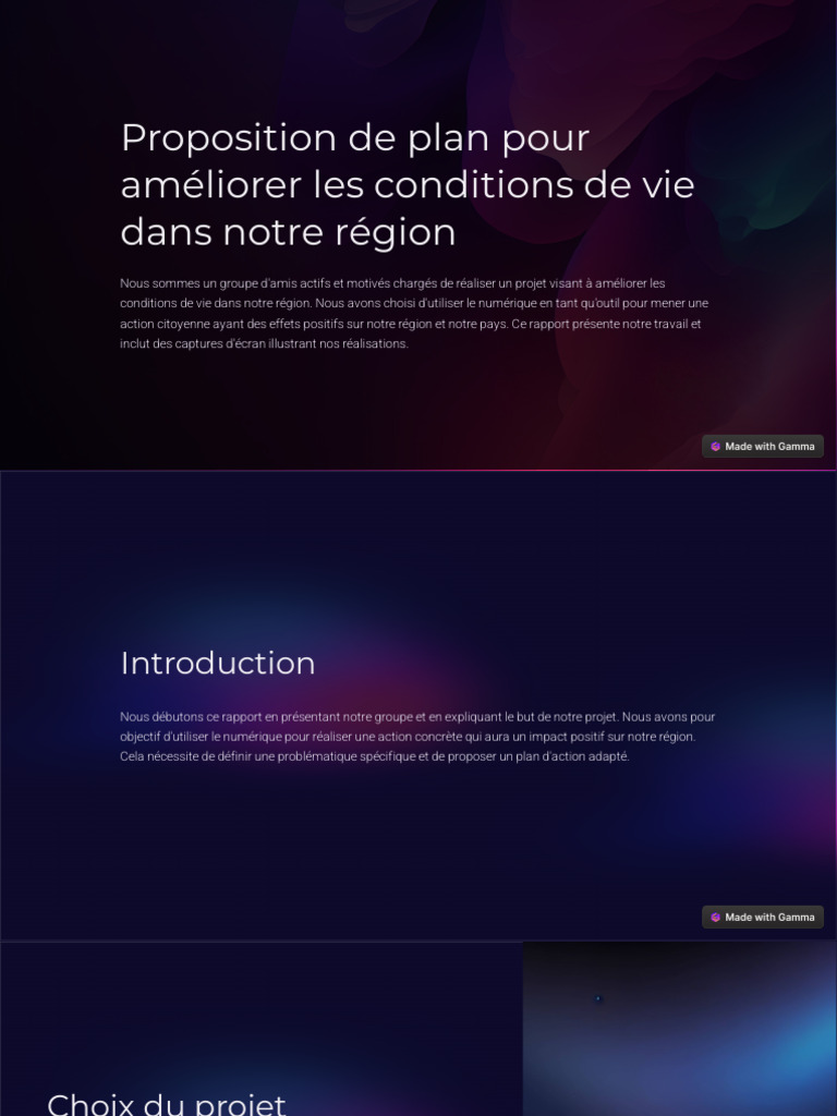 Proposition de Plan Pour Ameliorer Les Conditions de Vie Dans Notre Region | PDF