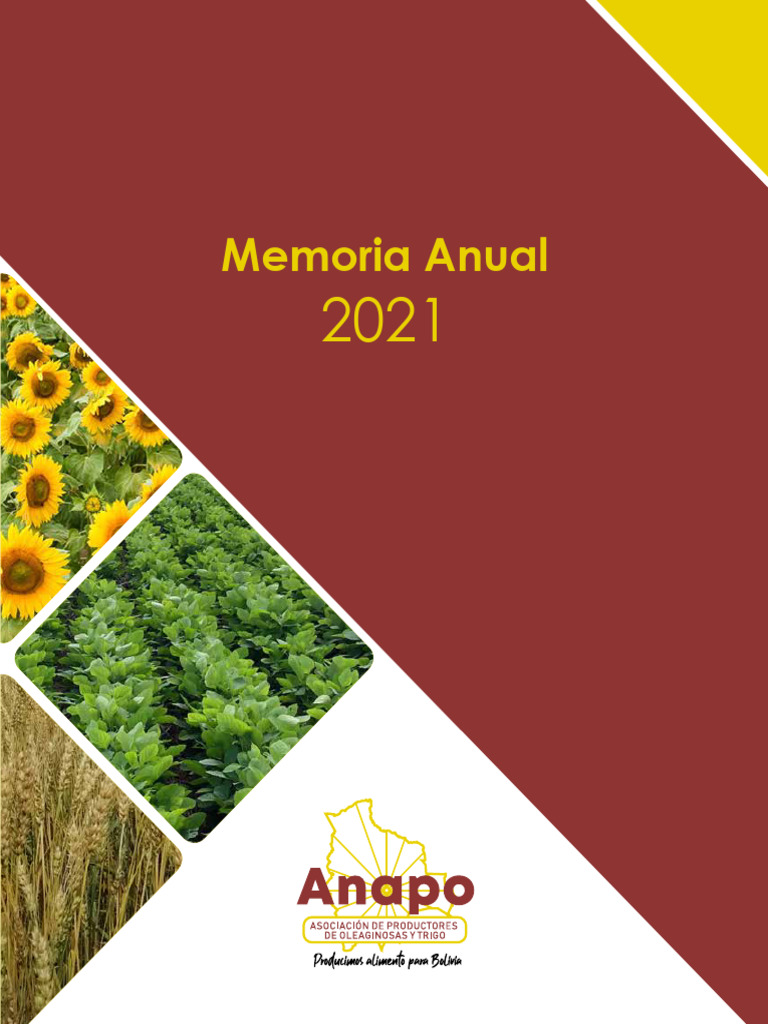 ANAPO Memoria 2021 | PDF