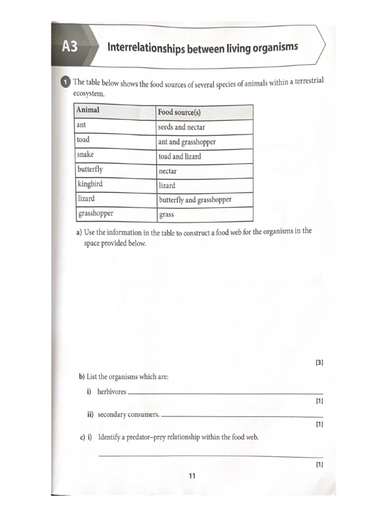 Interrelationships Between Living Organisms | PDF