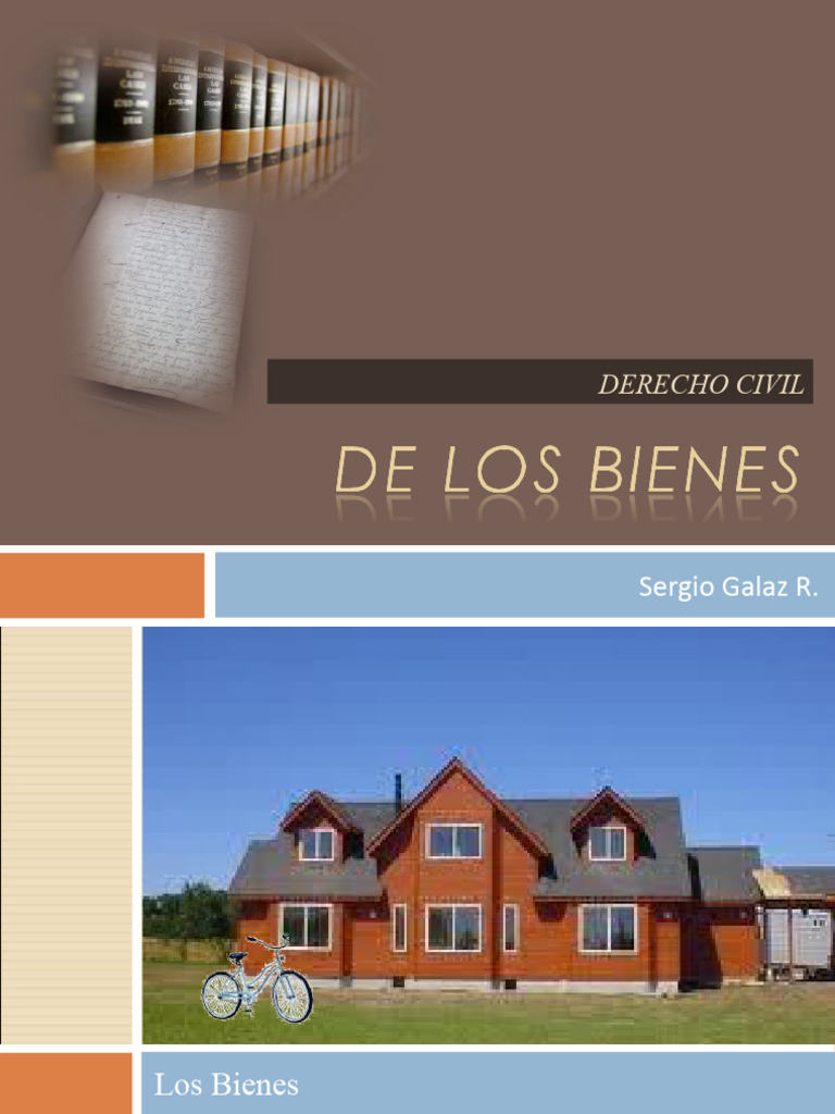 BIENES | PDF
