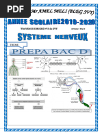 Cour Et Bilan Ppse Et Ppsi Sommation Temporelle Et Spatial | PDF ...