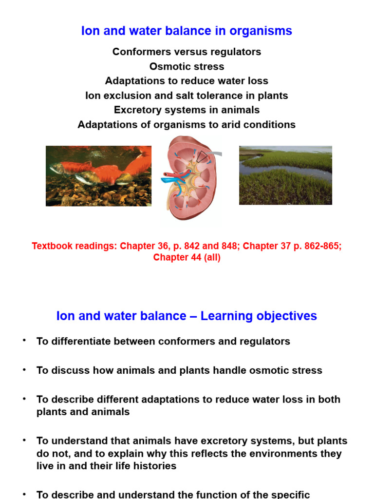 Lecture 10 - BIOL 209 - Ion and Water Balance - Chapters 44 and 37 - Fall 2023 - STUDENT | PDF ...