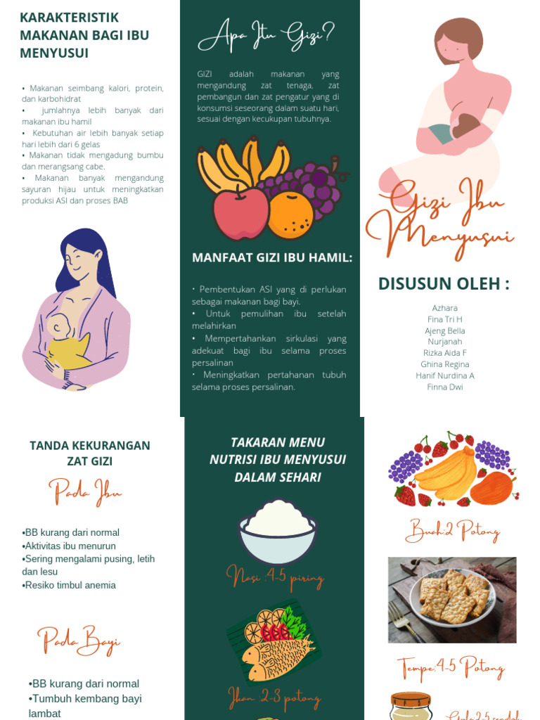 Leaflet Ibu Menyusui | PDF