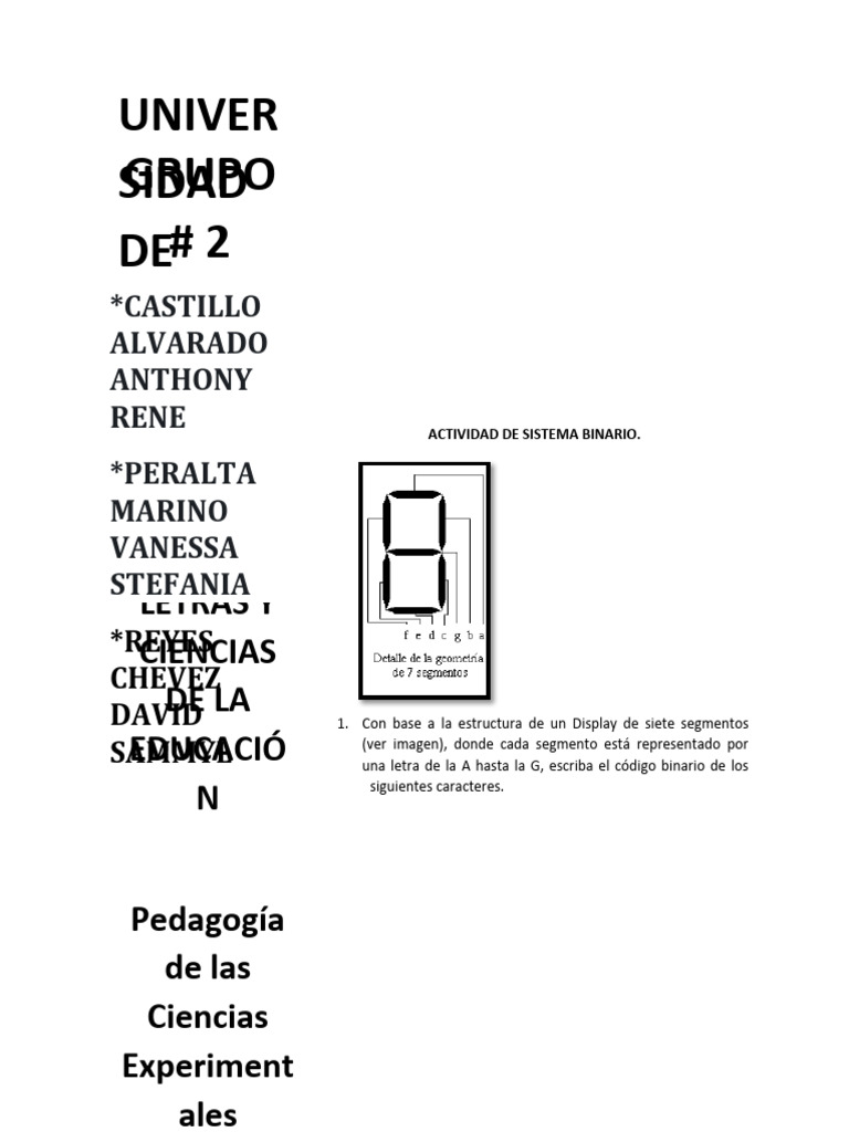 Códigos Binarios en Displays y ASCII | PDF