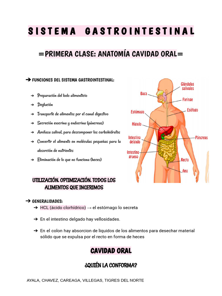 1er Parcial Gastro | PDF