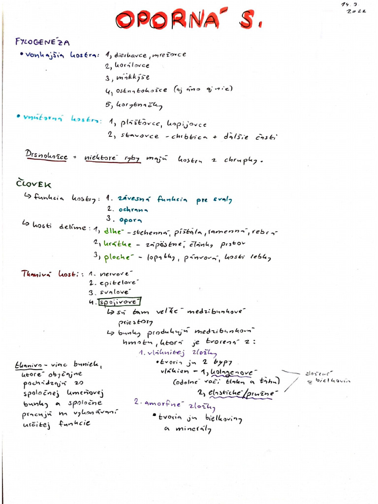 Oporná Sústava | PDF