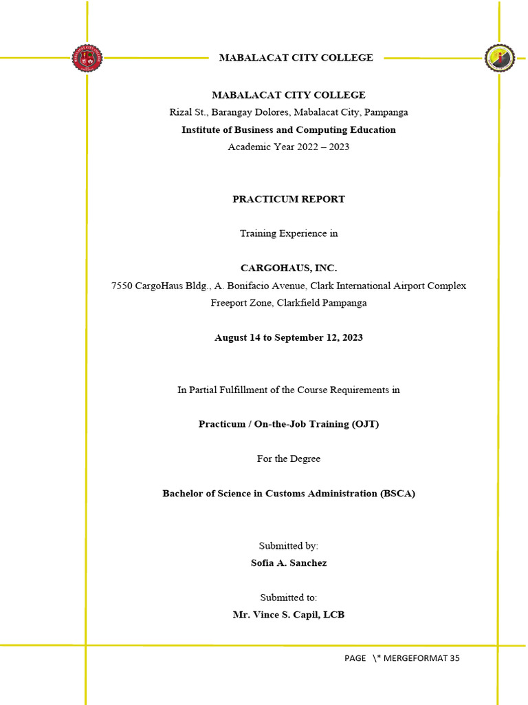 Practicum Report: Cargohaus Experience | PDF | Warehouse | Employment