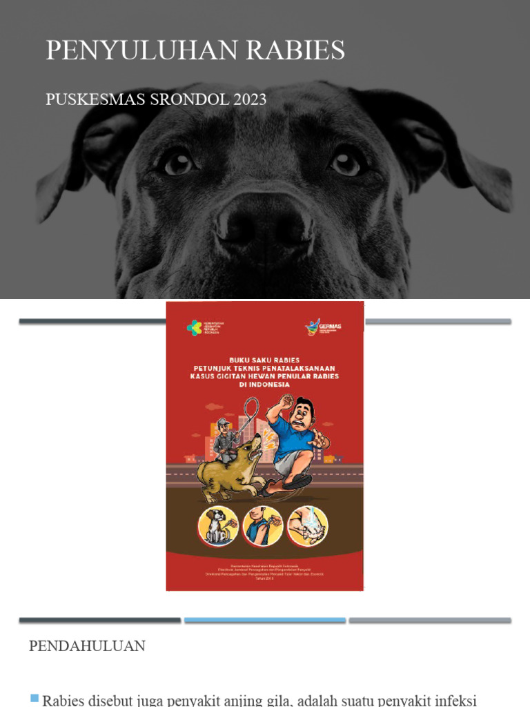 Penyuluhan Rabies | PDF