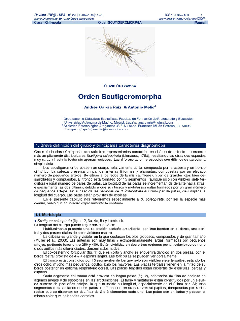 Manual sobre Scutigeromorpha | PDF | Araña | Taxa