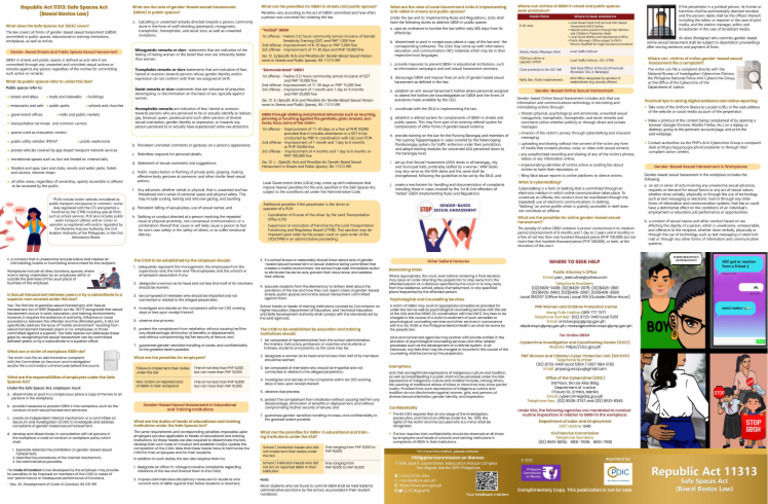 Safe Spaces Act | PDF