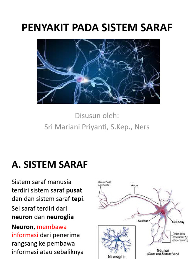 Ipdpd 1. Sistem Saraf | PDF