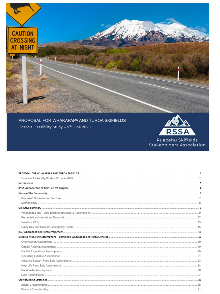 Feasibility Study | PDF