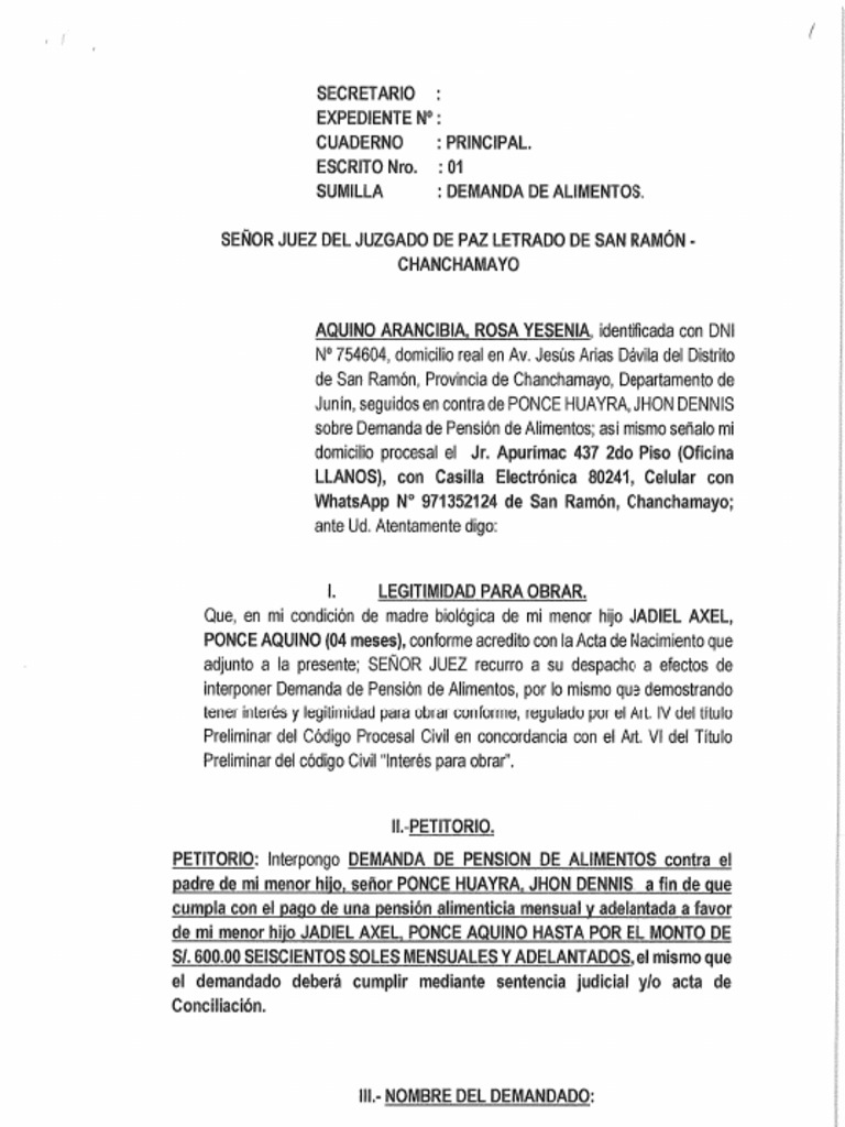 Demanda de Alimentos 7 | PDF