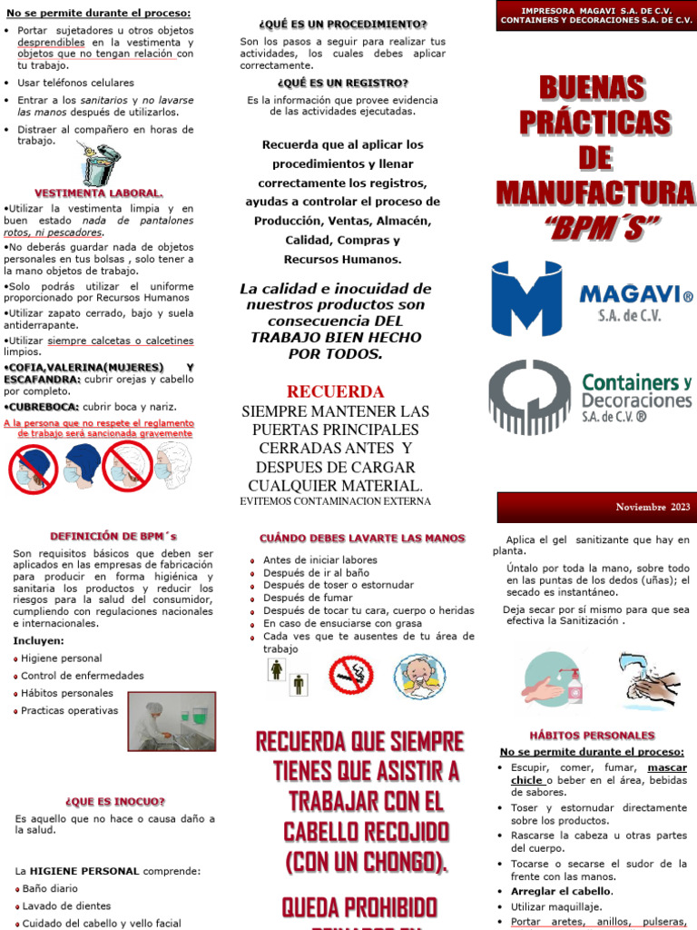 Triptico BPM's | PDF