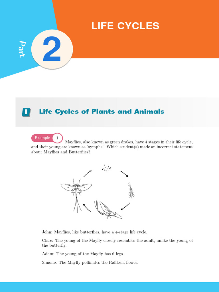 Vanda 2005 | PDF | Insects | Ant