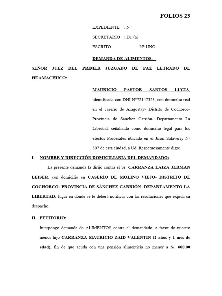 Demanda de Alimentos - Mauricio Pastor Santos L. | PDF