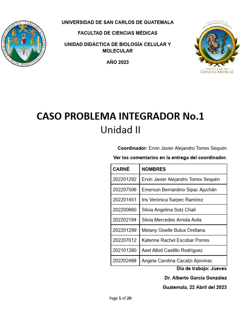 Caso Integrador Iii | PDF