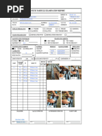 Sample Magnetic Particle Inspection Report | PDF | Welding | Construction