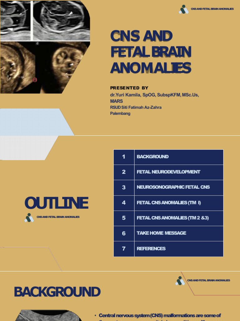 Fetomaternal III (CNS and Fetal Brain Anomaly) | PDF | Vertebral Column ...