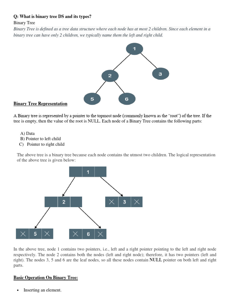 5.1 Binary Tree and Its Types | PDF | Theoretical Computer Science | Computer Programming