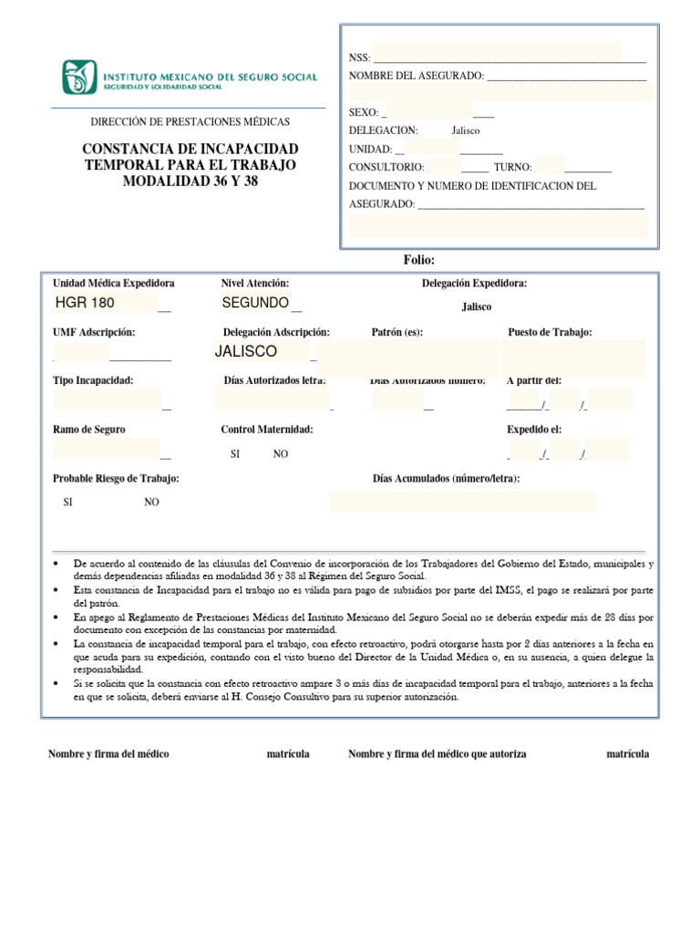 Formato Constancia Incapacidad Mod 36, 38 PDF | PDF