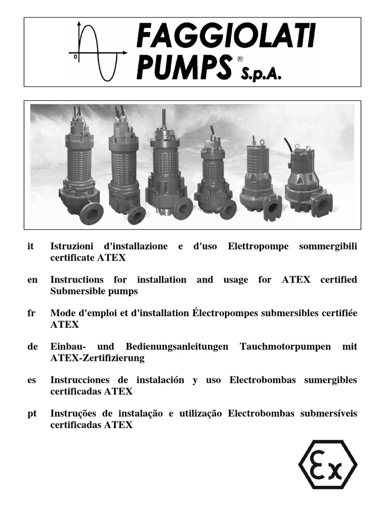 Faggiolatti Pumps | PDF | Pump | Electrical Engineering