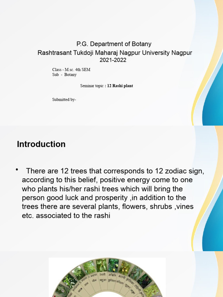 12 Rashi plant | PDF